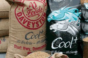 Stockfeed - Busselton